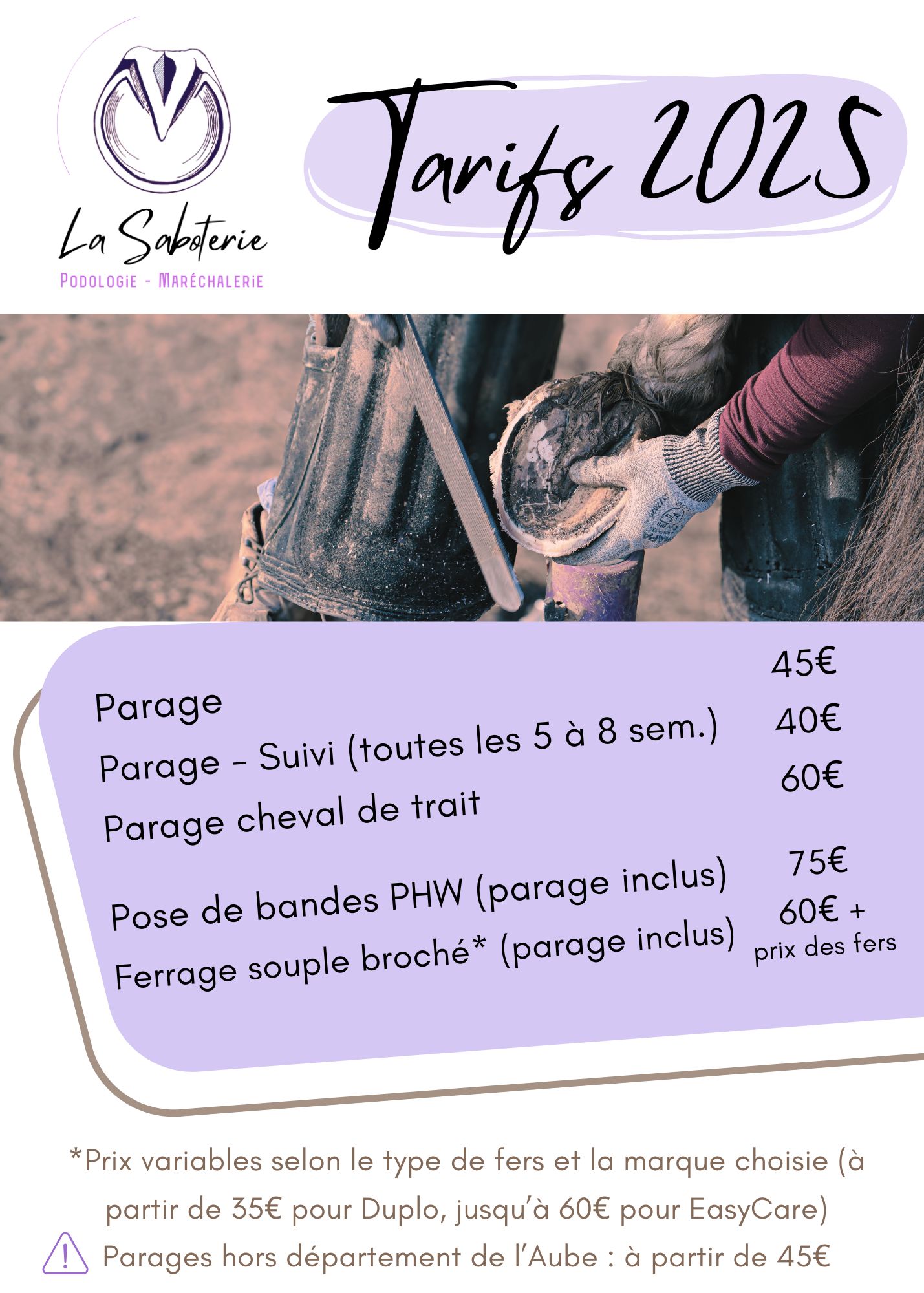 Services et tarifs podologie équine